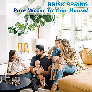 BriskSpring Self-Cleaning Spin Down Sediment Water Filter, Automatic Rotating Scraper Filter Screen, 40 Micron Reusable Whole House Water Filter System, 1" MNPT + 3/4" FNPT, Water Pressure Gauge