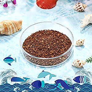 Patelai 3 Pieces Aquarium Shrimp Feeding Dish Glass Fish Clear Tank Feeding Bowl Food Bowl Freshwater Tray Feeder