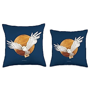 Harry Potter Hedwig and The Moon Throw Pillow, 18x18, Multicolor