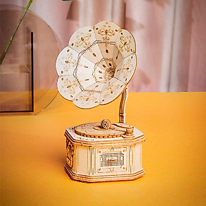 Rowood 3D Puzzles for Adults,Wood Model Kits for Adults, DIY Craft Gifts for Kids Teens- Hot Air Balloon (122 Pieces)