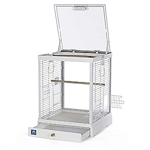Prevue Pet Products Clear View Glass Bird Cage Crystal Palace for Small Birds - White Frame