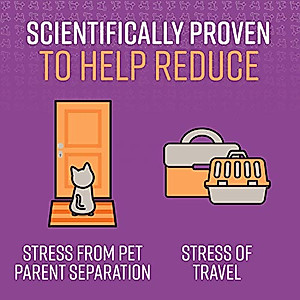 SENTRY PET Care Sentry Calming Spray for Cats, Uses Pheromones to Reduce Stress, Easy Spray Application, Helps Cats with Separation, Travel, Loud Noises, and Anxiety, Packaging May Vary