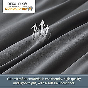 WhatsBedding Grey Comforter Set, Queen Lightweight Comforter Duvet Set for Summer,3 Pieces