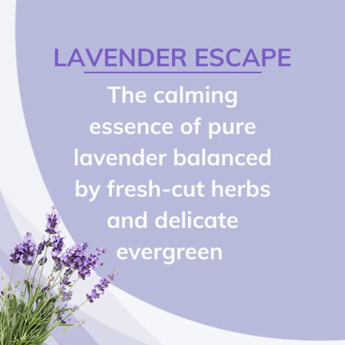 Citrus Magic Odor Absorbing Solid Air Freshener, Lavender Escape, 8-Ounce, 8 Ounce (Pack of 3), 3 Count