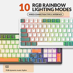 Ajazz K3 TKL Gaming Mechanical Keyboard-Wired Compact 10 Chroma RGB Backlit Computer Keyboard with Number Pad,98 Keys PC Gaming Keyboards with Clicky Blue Switch for Gamers/Mac/Win