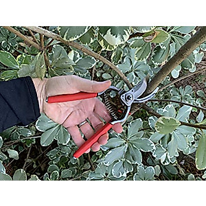 Corona Tools | ClassicCUT ClassicCUT® Branch & Stem Pruning Shears for Gardening | Cuts Branches and Stems up to 1-inch in Diameter | BP 15180