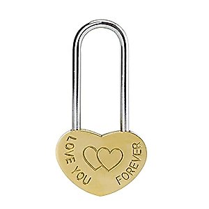 VerRich 3.5" 50mm Love Lock Single Heart Shaped Padlock Love You Forever for Lovers Wedding, Bridge,Paris,Anniversary(NO Key)