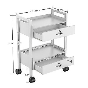 Salon Beauty Cabinet Cart Trolley 2-Layer Rolling Storage Drawer Organizer Wheels Lockable Tool Salon Station Barber Stylist Equipment Makeup Spa Cart (White-2 Layer)