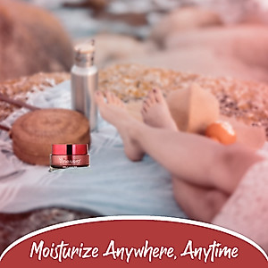 Vine Vera Resveratrol Merlot Moisture Day Cream Resveratrol Skin Care Face Moisturizer - Merlot Face Cream for All Skin Types Products for Anti Aging - 52 G / 1.83 Oz