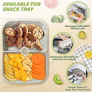 Veggie Trays with Lid, 2 Pack Meal Prep Containers, Food Storage Containers with Lids, 2 Removable Compartments Food Containers for Fruits/Vegetables/Snacks, Dishwasher Safe, BPA Free & Leak Proof