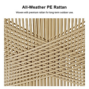 PURPLE LEAF 2 Pieces Outdoor Patio Dining Chairs All-Weather PE Rattan Patio Furniture with All Aluminum Frame for Lawn Garden Backyard Deck, Champagne