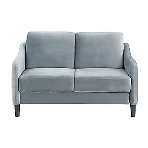 FANYE Elegant Gray 2 Accent Deep Cushions Seaters Wood Legs Loveseat Double Couch, Modern Velvet Upholstery Sofa Love Seat W/Curved Padded Armrest for Home Office Apartment Small Space Living Room