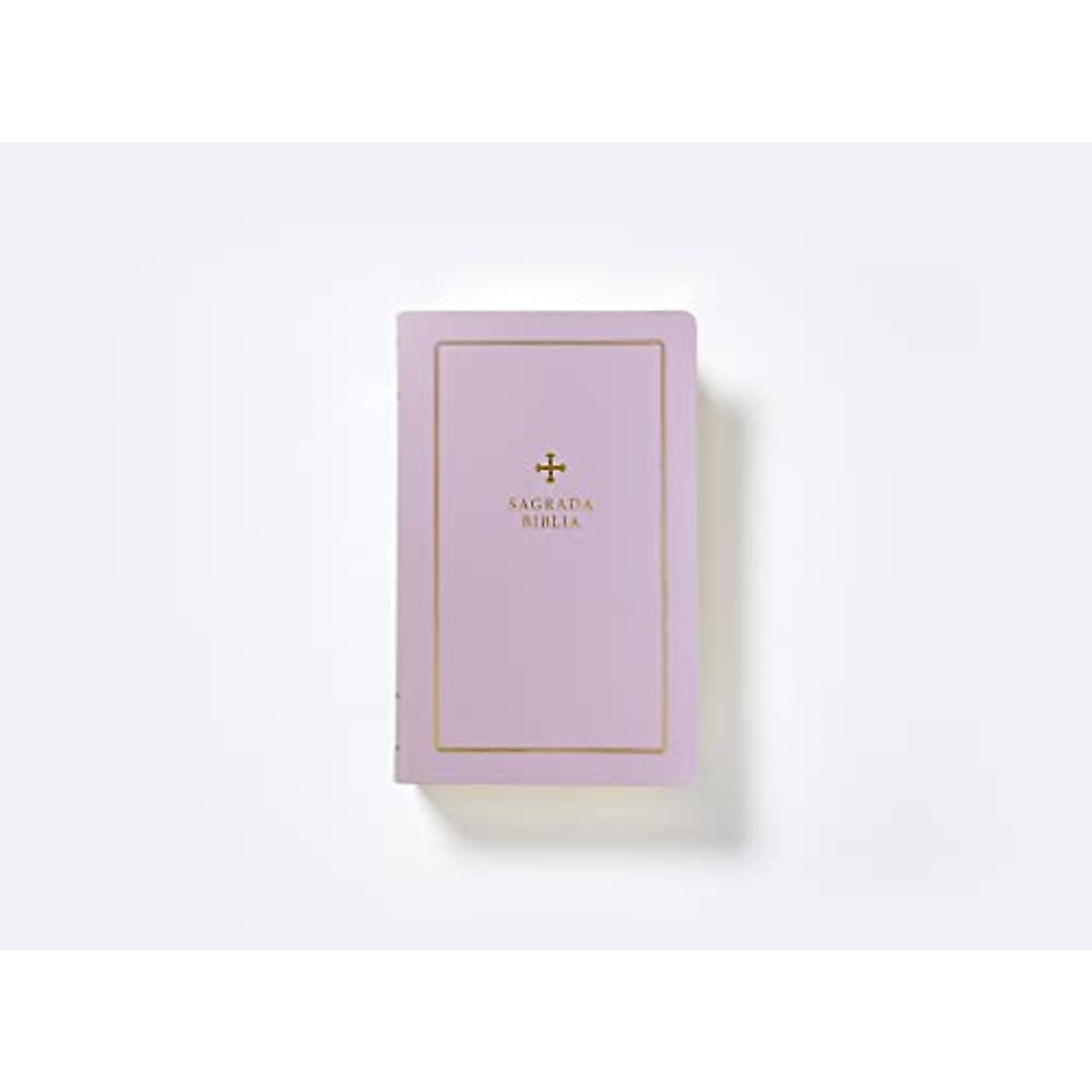 Biblia Católica, Regalos y Ceremonias, color Rosa, Cuero Reciclado (Biblia De America) (Spanish Edition)