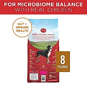 Purina ONE Chicken and Rice Formula Dry Dog Food - 8 lb. Bag