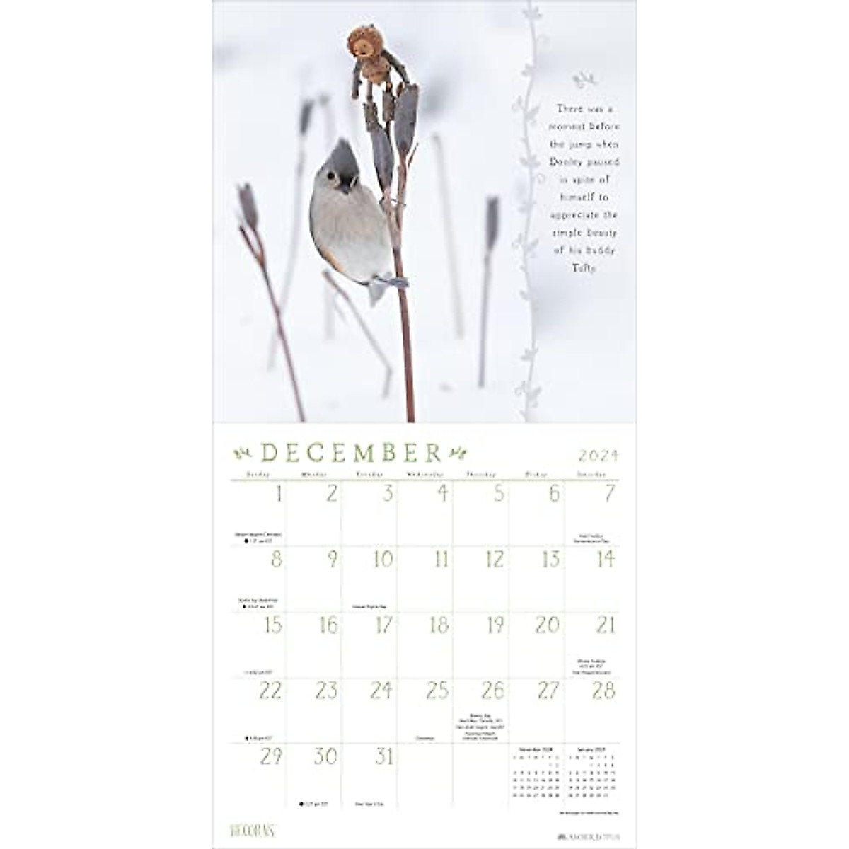 Becorns 2024 Wall Calendar: Forest Folk by David M Bird | 12" x 24" Open | Amber Lotus Publishing