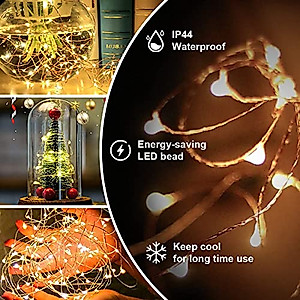 ZELUXDOT 300 LEDs String Lights Fairy String Lights 100FT Outdoor Waterproof Copper String Lights with Remote 8 Modes for Bedroom, Patio, Gardens, Wedding Decoration, Party,Christmas Tree
