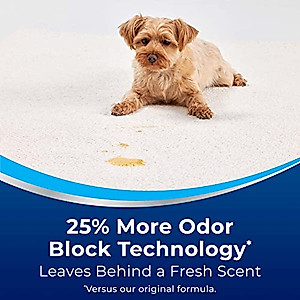 BISSELL® Woolite® Advantage Carpet & Upholstery Cleaner, 3325, 12 Ounce (Pack of 4)