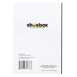 Hallmark 349RZF1006 Shoebox Funny Birthday Card