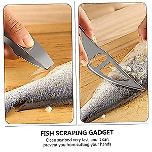 BESTonZON 2 Sets Stainless Steel Fish Scale Planer Cleaning Tools Fish Scaler Brush Fish Descaling Tool Prawn Cleaning Tool Kitchen Utensil Fish Scale Tool Fish Remover Seafood Detergent Set