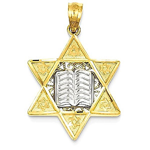 14K Two Tone Gold Star of David Jewish Magen Necklace Judaica Religious Pendant Israel Charm Only