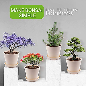JC-JDFMY11 Gardening Potted Plants,4 Kit Kinds of Decorative Bonsai Tree Planting Kit Suitable for Indoor or Outdoor,Removable Base,with Drain Holes,Creative and Novel Gifts