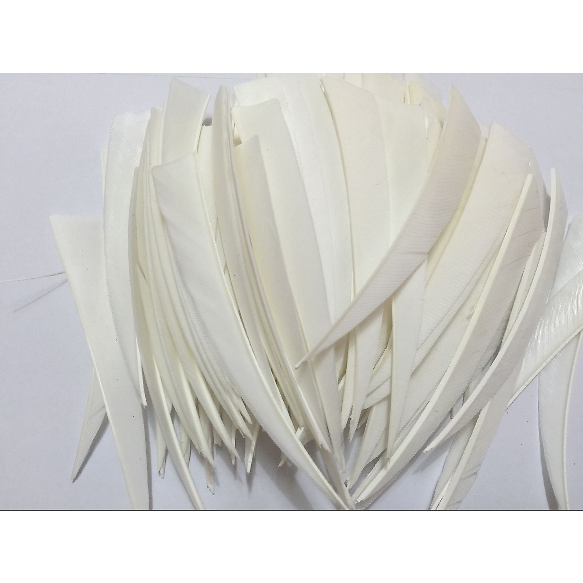 JIEXI HWYP Archery Fletches 5" Turkey Feather Shielded Shape Pack of 100 (White, Left Wing)