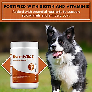 VetWELL Omega 3 Supplement for Dogs with Antarctic Krill Oil, Astaxanthin, Omega 3 6 9, EPA, DHA for Amazing Skin and Coat (60 Count)