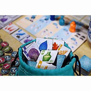 Pencil First Games The Whatnot Cabinet Board Game – A Nature-Themed Game of Collecting Intriguing Objects by Pencil First Games for 1-4 Players