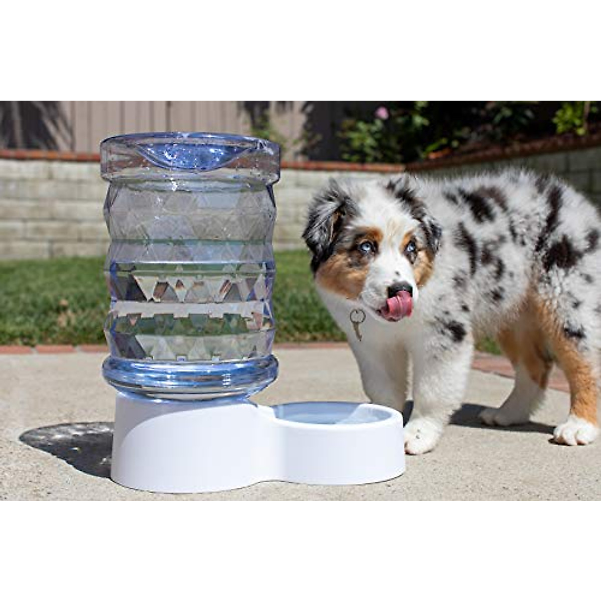 PetFusion H2O Gravity Pet Water Dispenser. Durable 2.5 Gallon Water Feeder. Automatic Water Station for Cats & Small, Medium, Large Dogs, Transparent (PF-GW1)