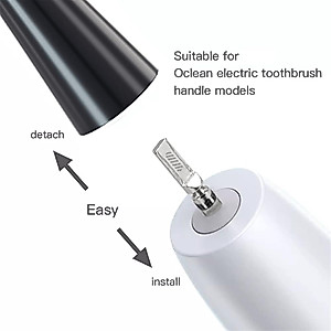 GTHUNDER 8Pcs Replacement ElectricToothbrush Head for Clean Heads, with Independent Hygienic Caps,Vacuum Packaging, for All Clean Models Clean x pro Elite & X & X Pro & Flow & F1 & Air 2 (Black)