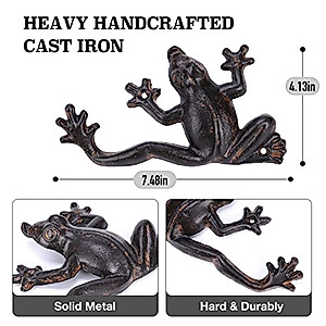 Gudoesy Wall Hooks，Decorative Wall Hooks，Rustic Decorative Coat Hooks for Hanging