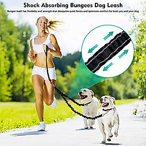 2 Dog Leash,Double Dog Leash Coupler Tangle Free Bungee Dog Leash, 360° Swivel No Tangle Double Dog Walking & Training Leash, Comfortable Shock Absorbing Reflective Bungee Lead Walk 2 Dogs with Ease