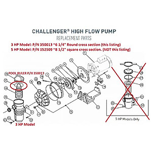 Pool Ruler 350013 Pentair Pump Lid O-Ring 2 Pack + Lubricant - IntelliFlo, WhisperFlo, More