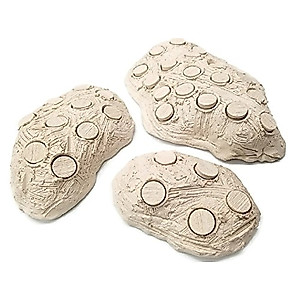 Oceans Wonders Flush Fit Frag Station Hub 5.0 Coral Reef Plug Holder with 5 Plugs