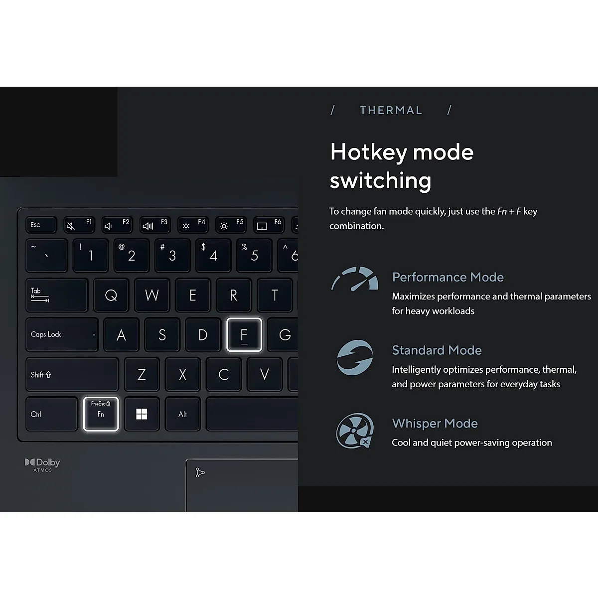 Asus 2023 Latest Zenbook 14.5/ 2.8K OLED Slim Laptop,13th Gen Intel Evo i7-13700H 14 Cores,550 nits 120Hz 100 Percent DCI-P3,Thunderbolt 4,Widnows 11 Home,w/HDMI (16GB LPDDR5 RAM | 512GB PCIe SSD)