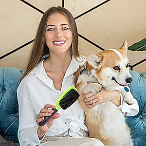 Rexipets Dog & Cat Brush & Comb Pet Grooming Set - Double Side (Small) - Ultimate Deshedding Tool - Lice And Flea Removing - Perfect Groomer's Tools - Strong Grip And Soft Bristles