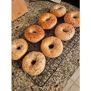 Brewing & Fermentation Heat Pad for Homebrew Beer & Wine Fermenting 120VAC 12 or 25 Watt Heating Mat: Safe for Plastic/Glass Carboy Fermentors w/Heater Temp Strips (10" - 12 Watts (Black))