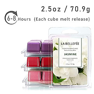 LA BELLEFÉE Scented Wax Melt, Smoke & Odor Eliminator Soy Wax Melts Wax Cubes, Strongly Scented Hand Poured Vegan Wax Melts for Home and Pet Odors, Eucalyptus & Sage(2.5oz/70.9g*6)
