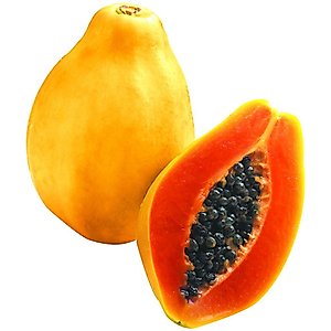 QAUZUY GARDEN 10+ Dwarf Waimanalo Papaya Seeds Very Fresh Rare Tropical Fruit Tree Seeds Non-GMO Seeds Very Fast-Growing Nutritious Fruits Survival Gear Food Seeds