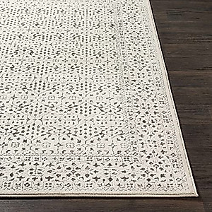 Sattley Modern Farmhouse Living Room Bedroom Dining Room Area Rug - Transitional Bohemian Carpet - Non Shed, Stain Resistant - Beige, Grey, Black, Cream, Ivory - 5'3" x 7'3"