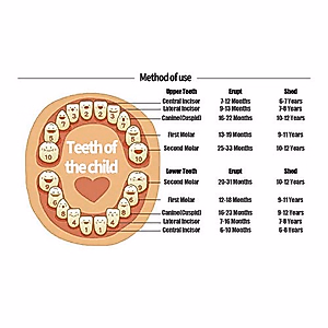 Baby Tooth Box ,Wooden Kids Keepsake Organizer for Baby Teeth, Cute Children Tooth Container with Tweezers and lanugo Bottle to Keep the Childhood Memory (Boy)