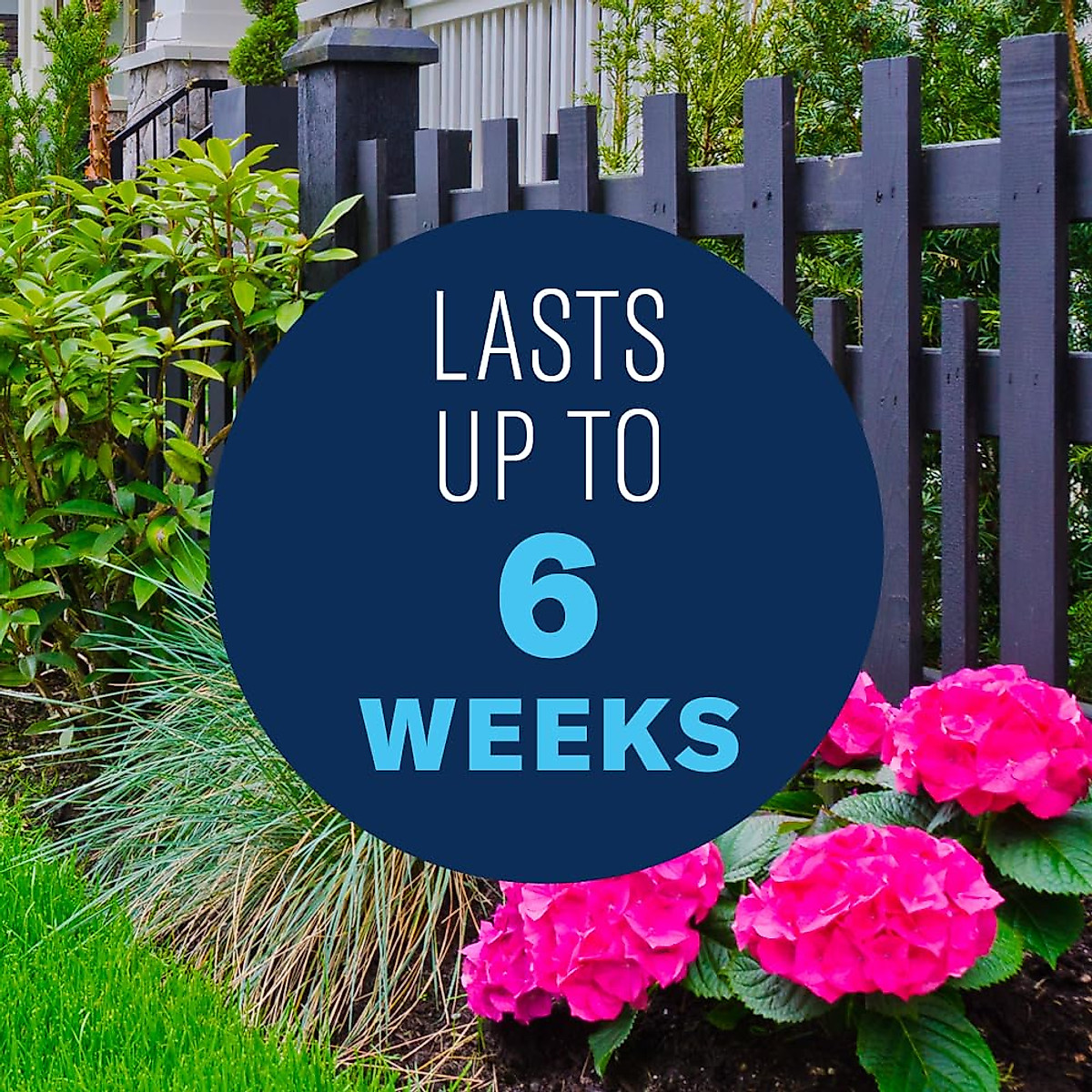 BIOADVANCED 043929293566 Bayer Advanced 701110A All in One Rose and Flower Care Granules, 4-Pou, 4-Pound, Assorted