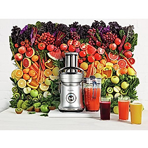 Breville Juice Founatin Cold XL Juicer, Brushed Stainless Steel, BJE830BSS