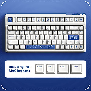 iQunix L80 Cosmic Traveller Wireless Mechanical Keyboard with TTC Speed Silver Switch Compact 83 Keys RGB LED Backlit Hot Swappable Keyboard for Windows/Mac/Android/iOS