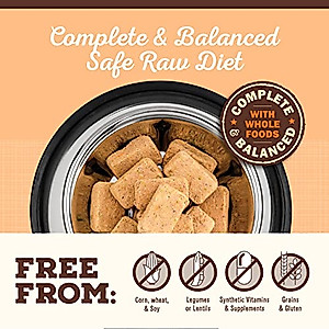 Primal Freeze Dried Cat Food Nuggets Pork, Complete & Balanced Scoop & Serve Healthy Grain Free Raw Cat Food, Crafted in The USA (14 oz)