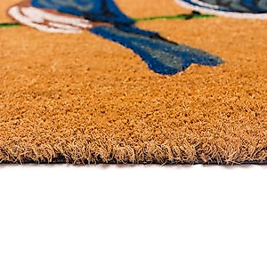 Liora Manne Natura Doormat Non-Slip Natural Fiber Outdoor Mat-Animal, Blue Birds Natural 2' x 3'