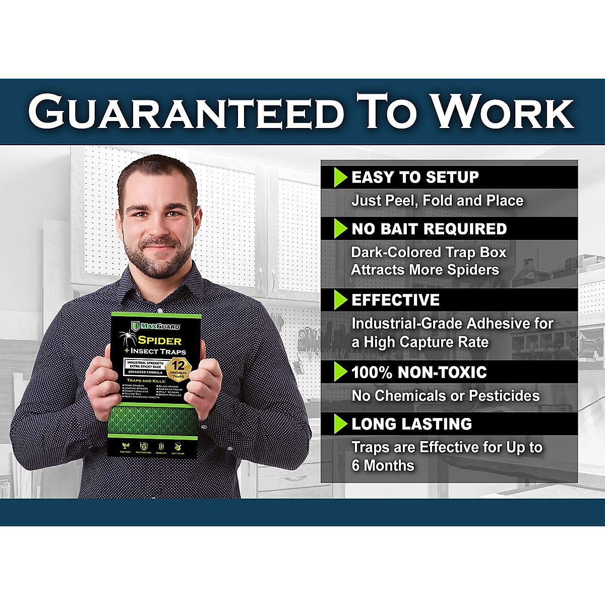 MaxGuard Spider + Insect Traps (12 pcs Box Trap) | Non-Toxic Extra Sticky Glue Traps , Kill Black Widow Hobo Brown Recluse Spiders and Other Crawling Bugs & Insects |