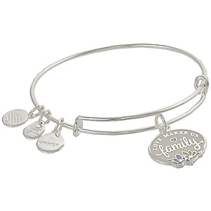 Alex and Ani Occasions Expandable Bangle for Women, Love Makes Us Family Charm, Shiny Silver Finish, 2 to 3.5 in, One Size (A21EBFAMSS)
