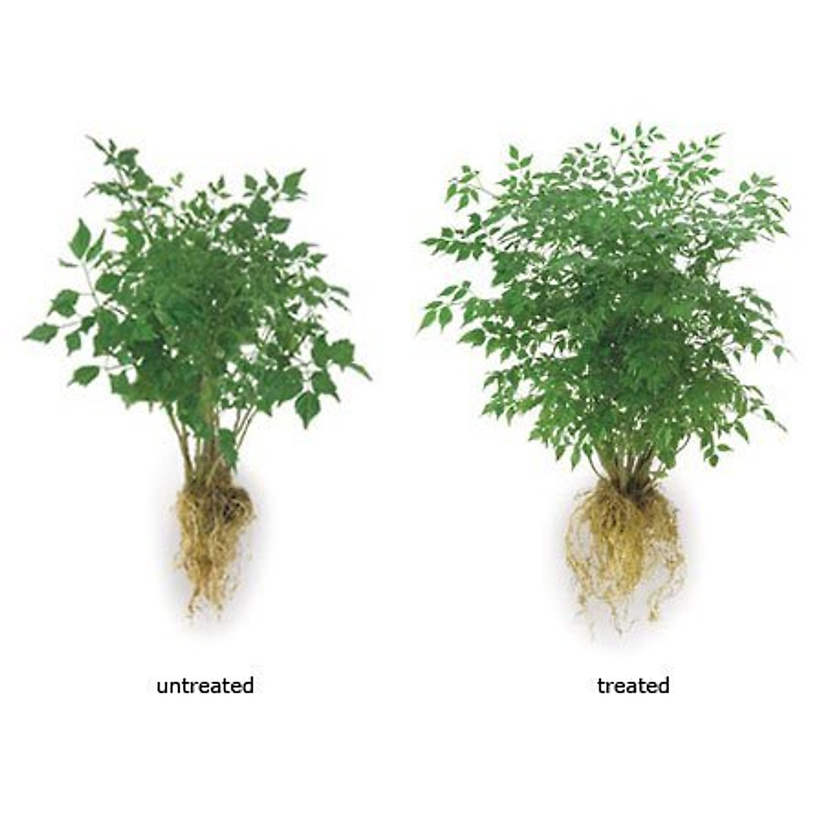 1 Pound Soil Moisture Trap Potassium Polyacrylate Polymers Soil Vigor