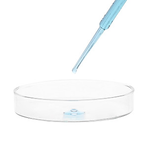 EISCO Petri Dish, 3.93" (100mm) - Beaded Edges Easy to Sterilize for Repeated Use Borosilicate Glass- Eisco Labs